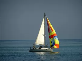 Qué es el pampano y cuál es su significado - San Sebastián