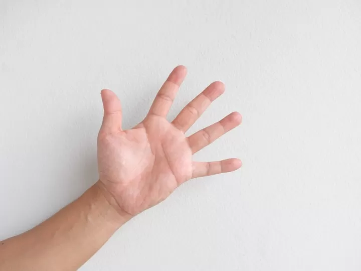 Cómo se puede dar un buen apresto al barco antes de zarpar - San Sebastián