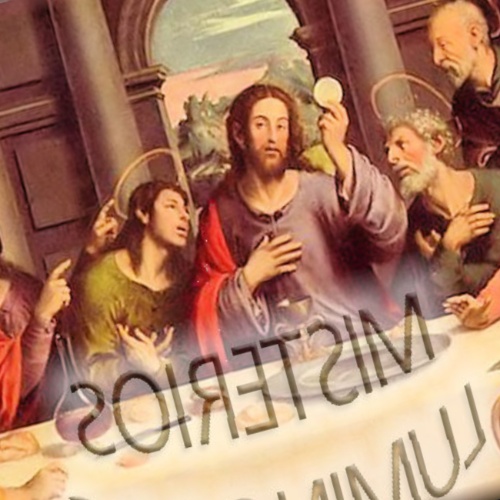 Descubre Los Secretos Detrás De Los 5 Misterios Luminosos. - San Sebastián